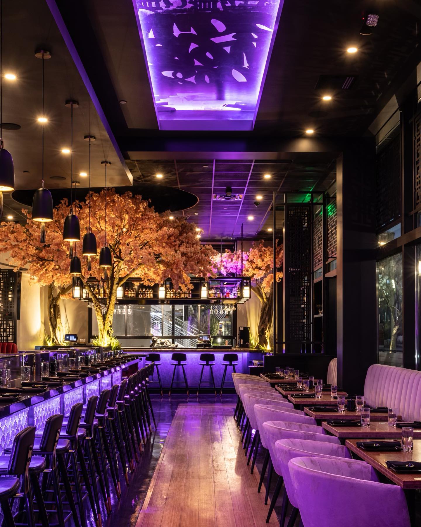 TEN Sushi & Cocktail Bar Delivers Top Tier Dining & Design