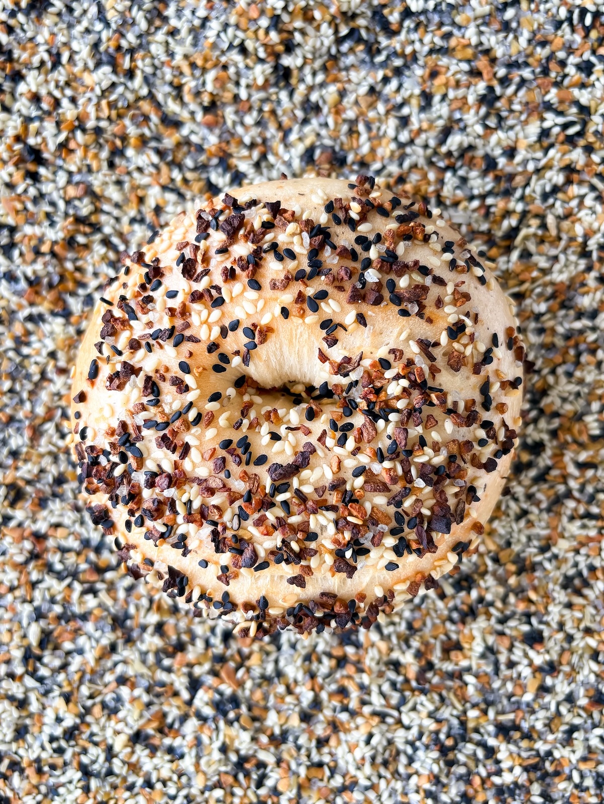First Jeff’s Bagel Run In Jacksonville Expansion Opening in Neptune Beach